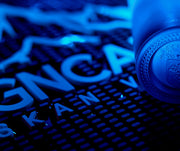 Reigncane Vodka – BWLS